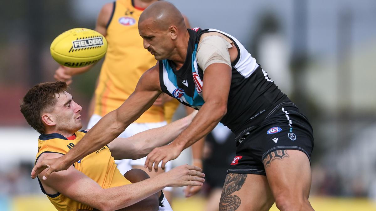 Georgie Parker: AFL send-off rule would stop the concussion crisis ...