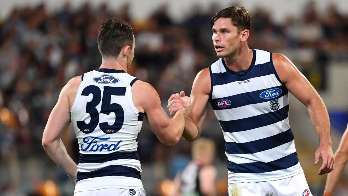 AFL TEAMS: Tom Hawkins, Patrick Dangerfield bolster Geelong Cats as ...