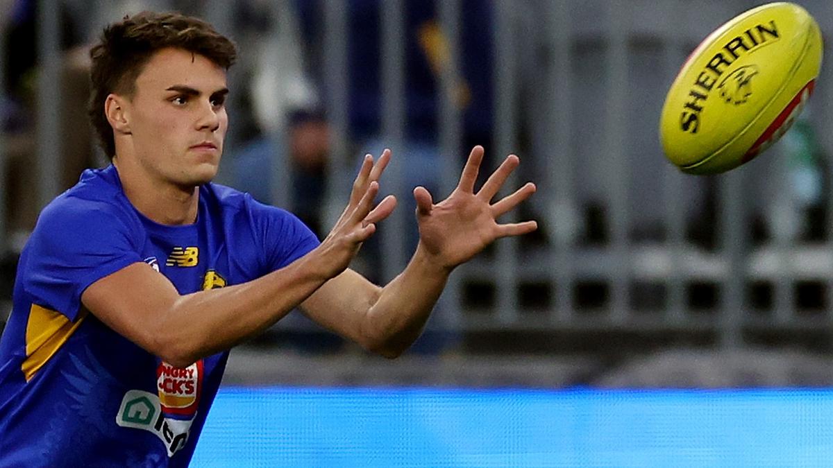 AFL throws book at Collingwood member for bizarre interaction with West ...