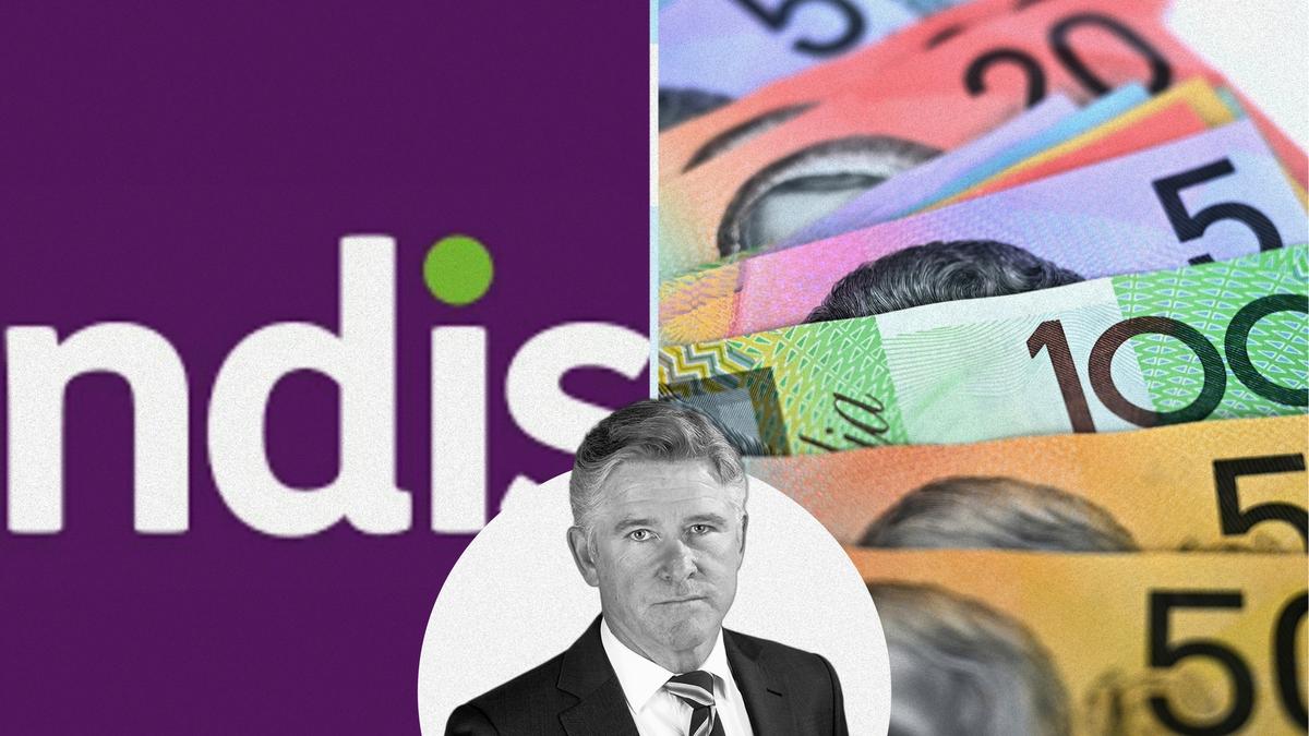 MARK RILEY: The way the National Disability Scheme is being rorted is a ...