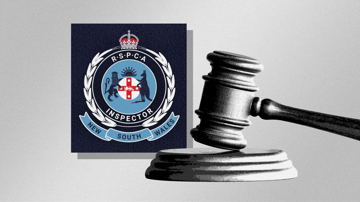 RSPCA settles million-dollar Supreme Court stoush with Sydney ...