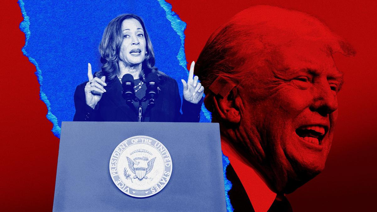 DAVID WOIWOD: Emboldened Democrats issue blunt four-word slogan in new ...
