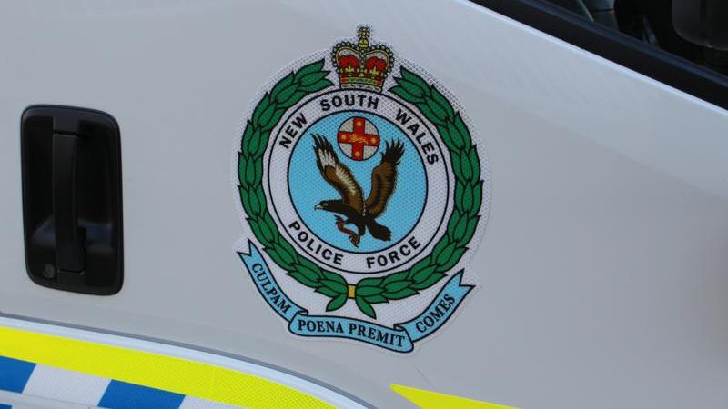 Paintball gun, meth, fireworks and $67k in cash seized as police arrest ...