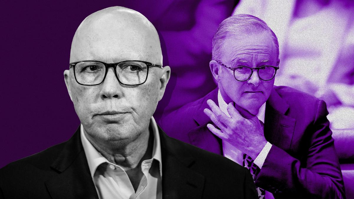 MARK RILEY: Peter Dutton is out for blood as he paints Anthony Albanese ...