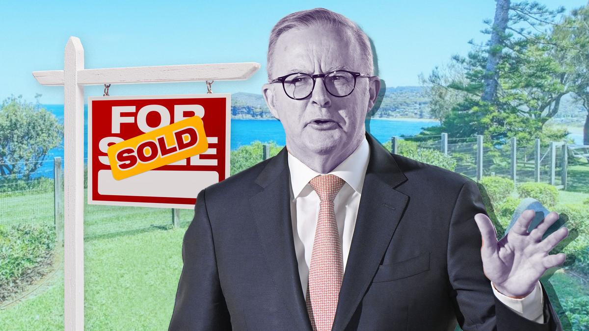 MARK RILEY: Mr Clifftop Mansion Anthony Albanese needs to stop making ...