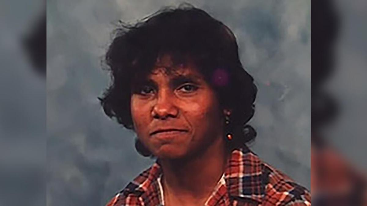 Mark Haines: Woman 'knows what happened' to teen found dead on train ...