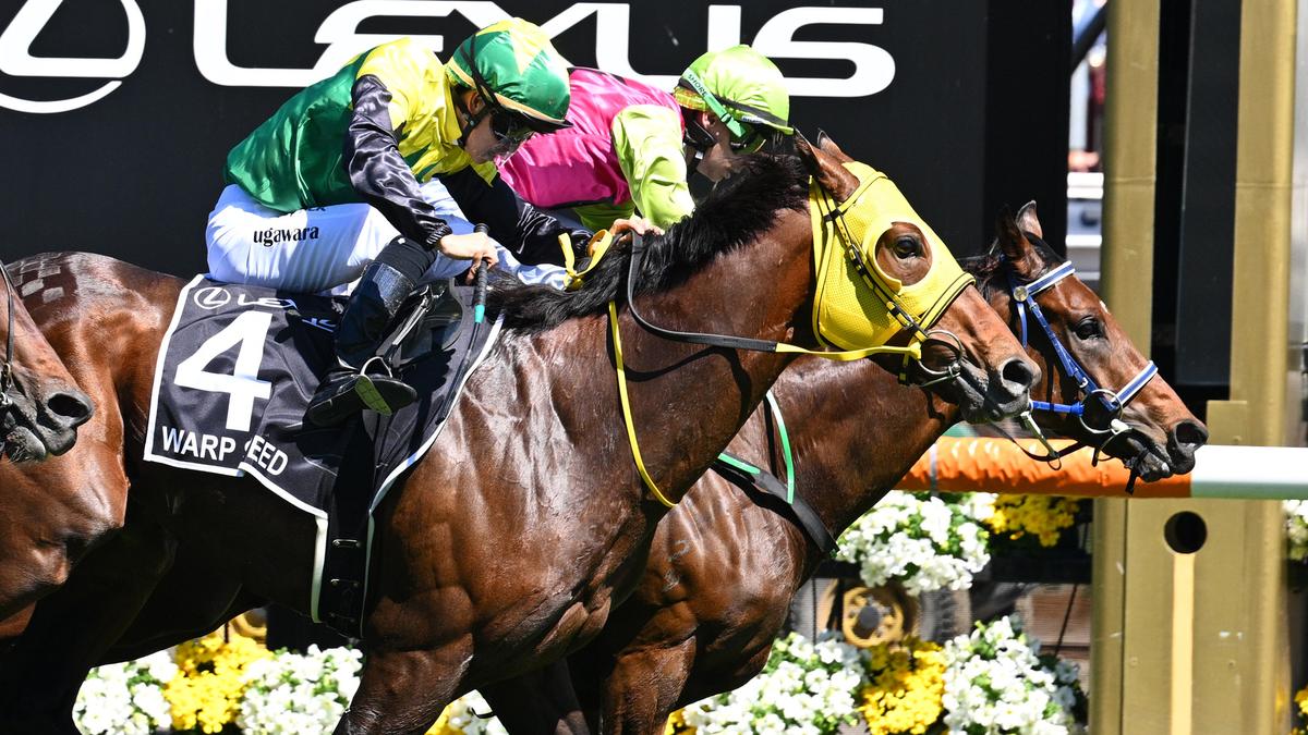 Melbourne Cup: One lucky punter lands unbelievable $3.2 million win ...