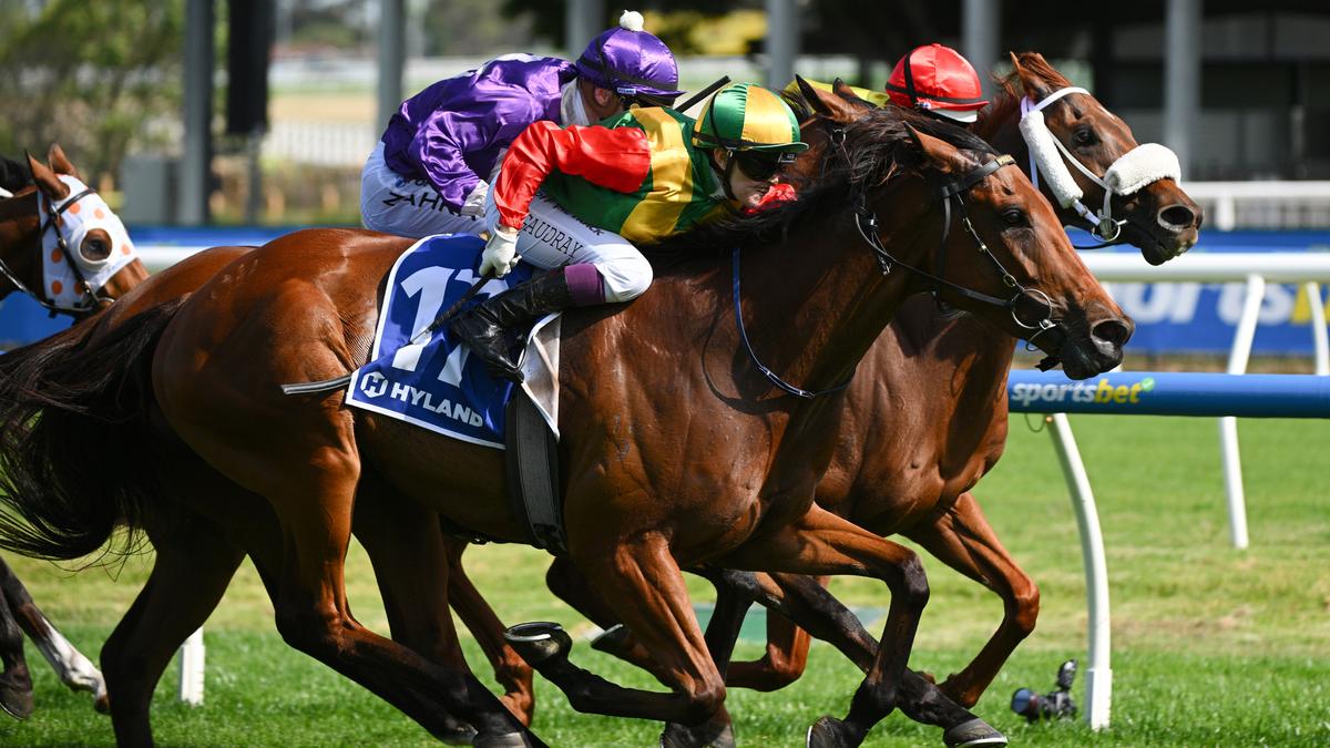 Victorian jockeys in riding fees showdown with trainers over ‘jump outs ...