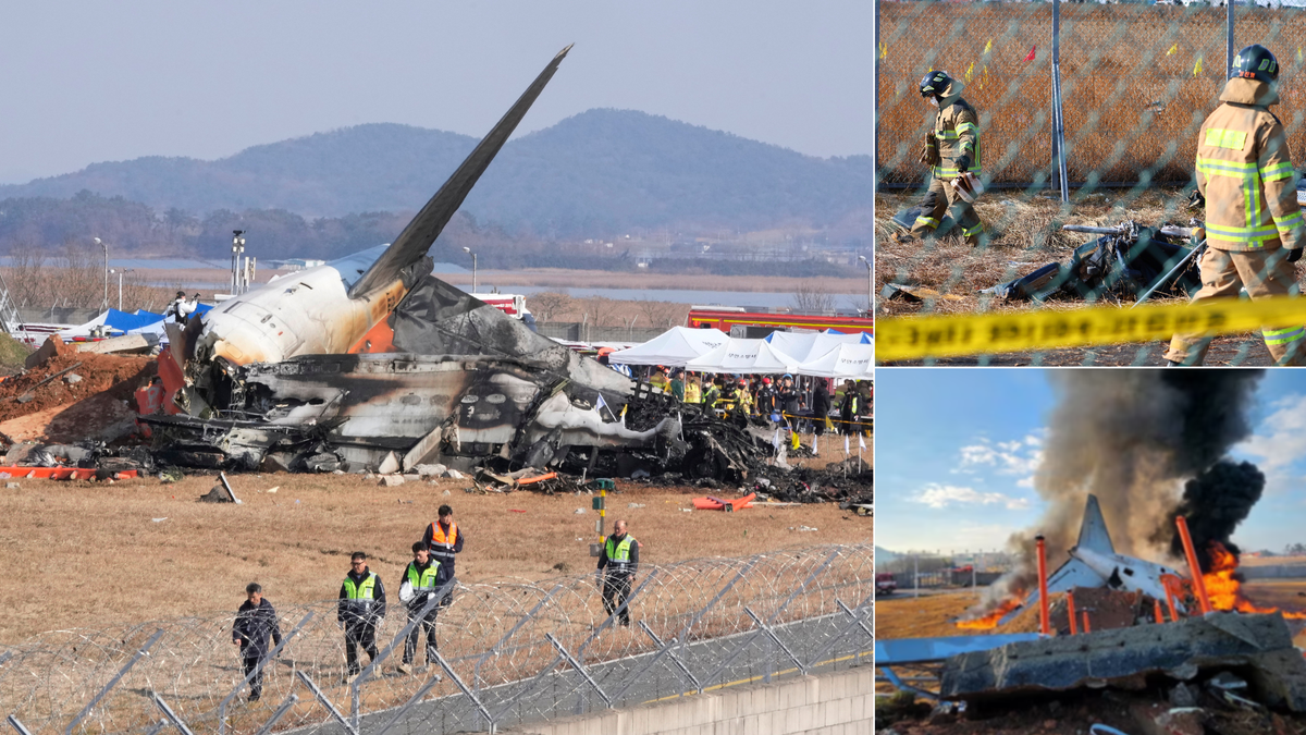 South Korea plane crash: Officials promise full probe of how jet ...