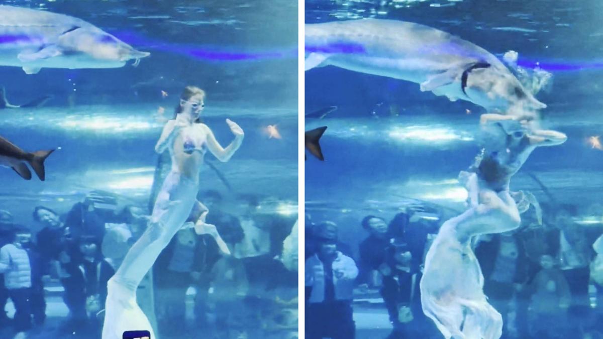 Mermaid attack: Horror as giant fish bites Russian performer Marsha’s ...