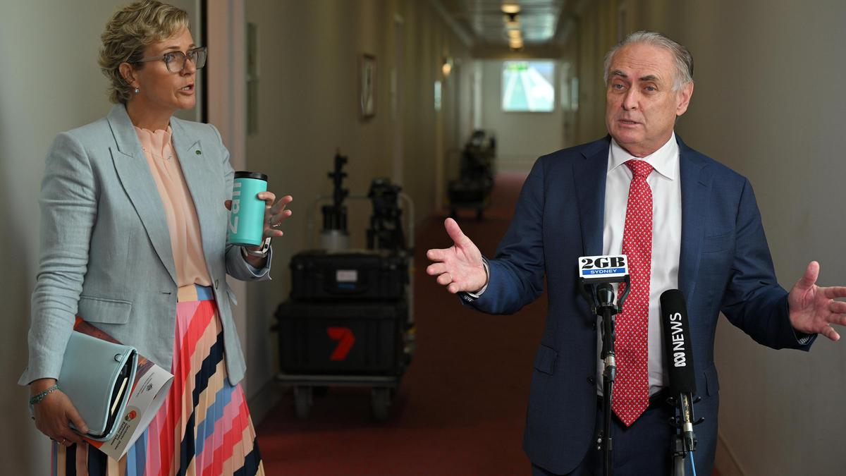 AARON PATRICK: Big-money politics and the confected outrage of Zali ...