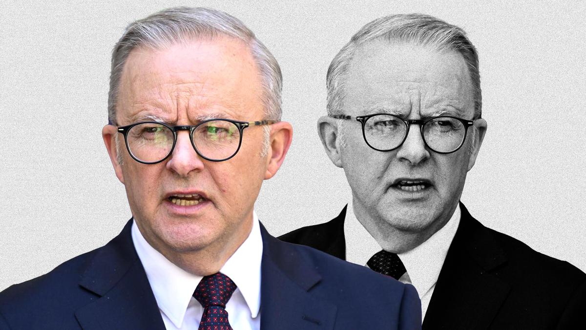 CAMERON MILNER: Truth is stranger than fake news for Anthony Albanese ...