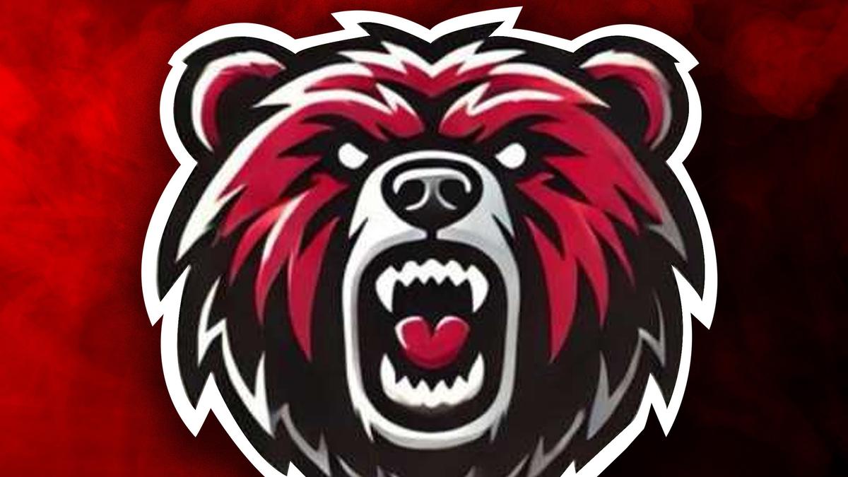 Western Bears NRL bid in crisis: ARL chair Peter V’landys says Perth ...