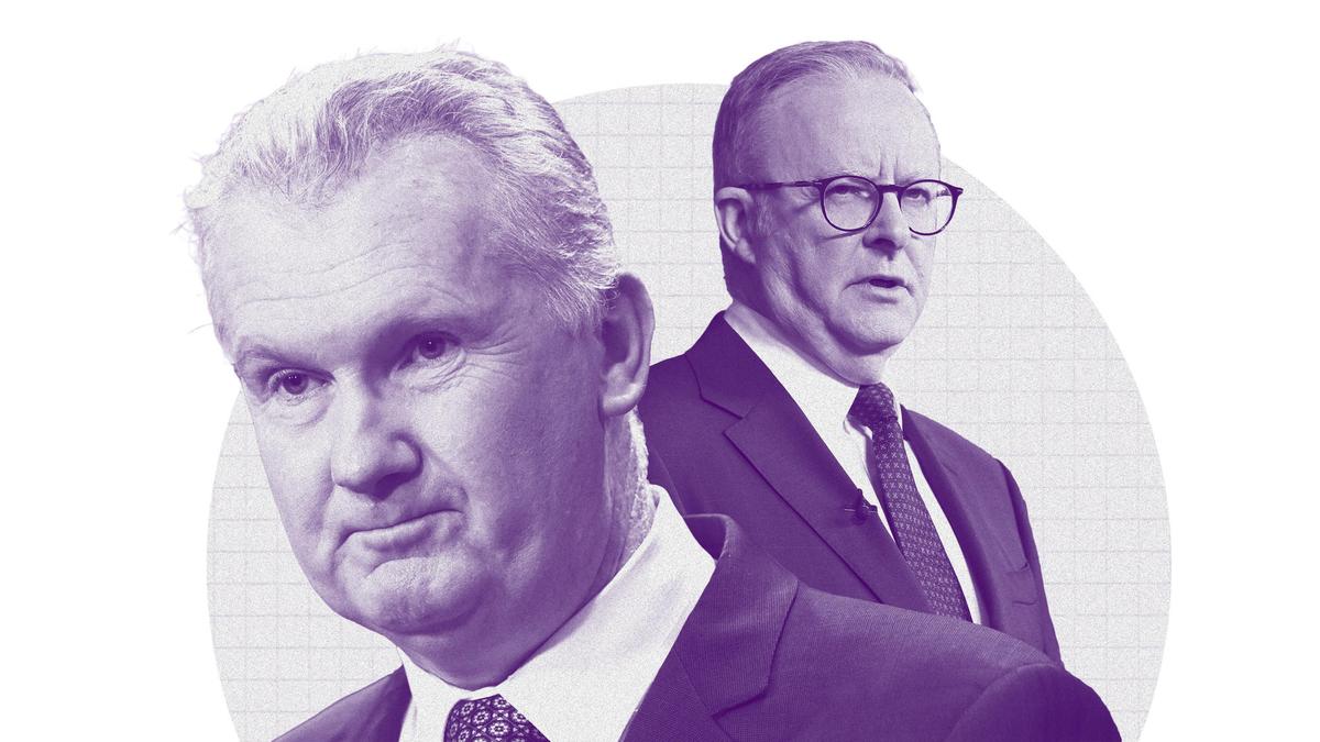 CAMERON MILNER: Anthony Albanese won’t be PM in 12 months’ time, even ...