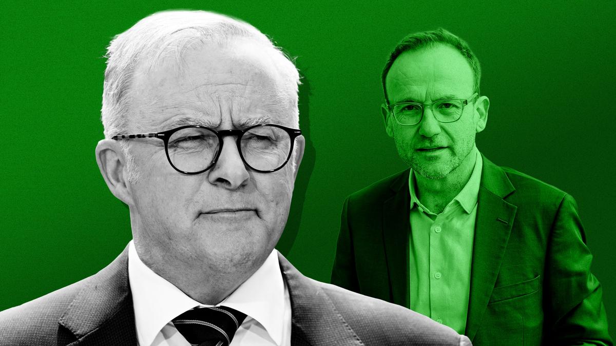 Former Labor MP Michael Danby slams Anthony Albanese for Greens stance ...