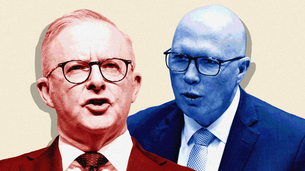 Cameron Milner: Election a battle between Albanese’s Shein and Dutton’s ...