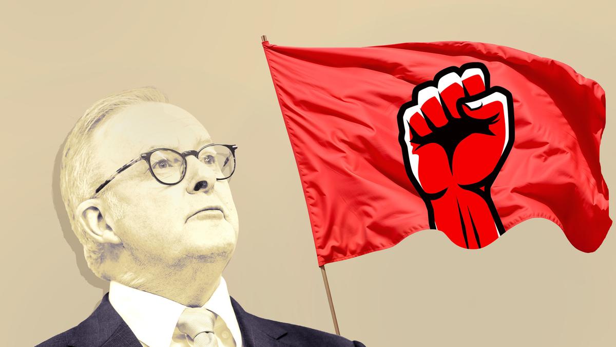 CAMERON MILNER: Anthony Albanese fancied himself a revolutionary. He’s ...