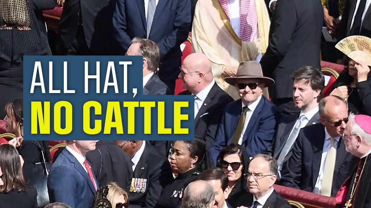 Newsworthy: Why Anthony Albanese was the poster boy for ‘all hat, no ...