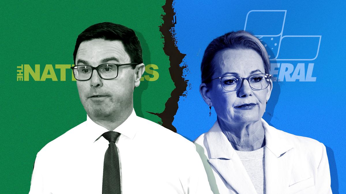 CIAN HUSSEY: Coalition split was a missed moment for political renewal ...