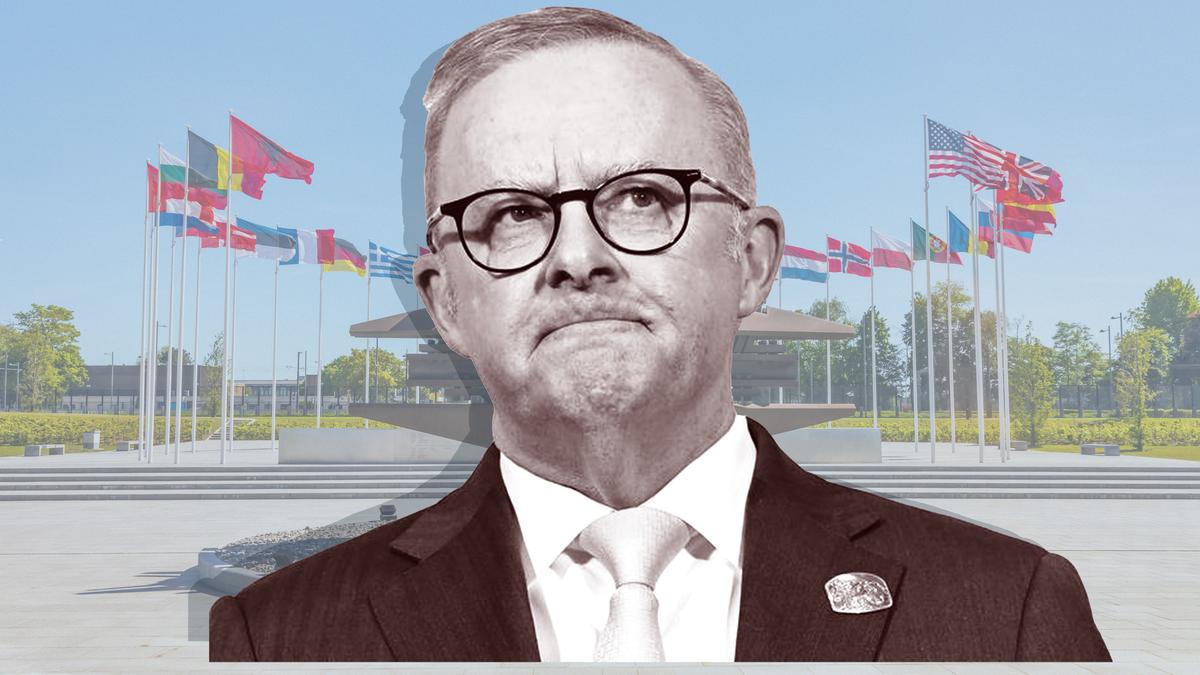 NICOLA SMITH: The Hague reasons why Anthony Albanese should attend NATO ...