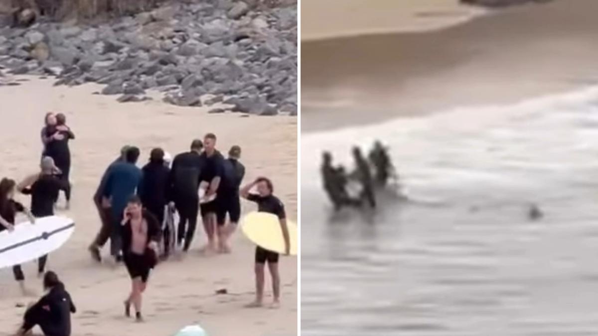 Cabarita Beach shark attack: Shocking footage emerges after teenage boy ...