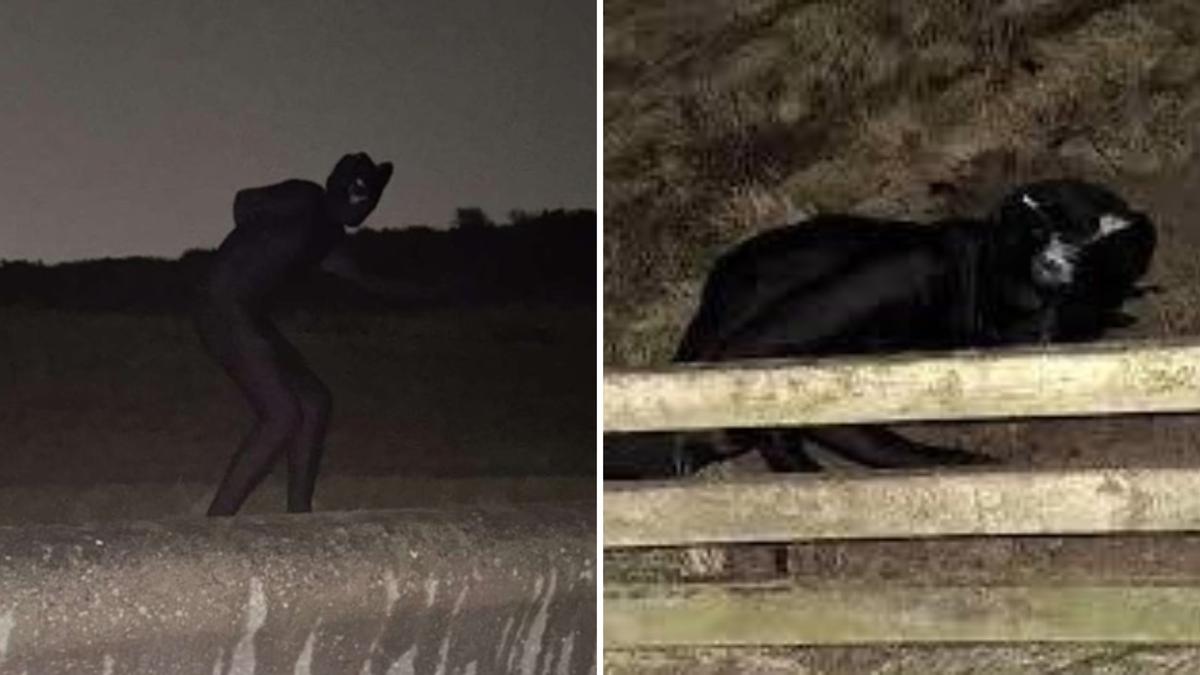 Wirral cat man: Crowds of people armed with torches hunt for creepy ...