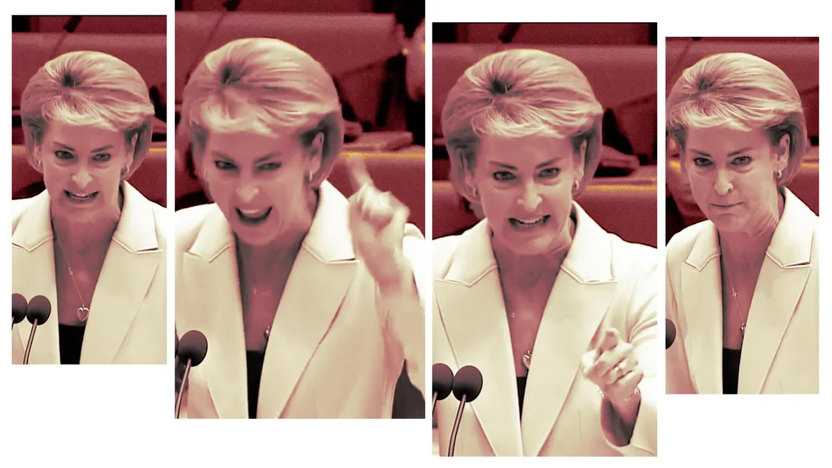 AARON PATRICK: Liberal senator Michaelia Cash’s speech has fans calling ...