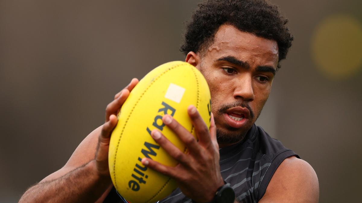 Adelaide Crows say they are disappointed in crowd's jeering of Magpie ...