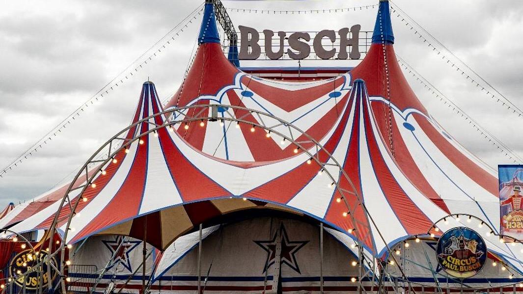 Circus Paul Busch: Acrobat falls to death after trapeze stunt goes ...