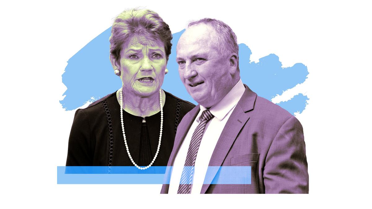 JENI O’DOWD: If Barnaby Joyce moves to One Nation he will bring Pauline ...