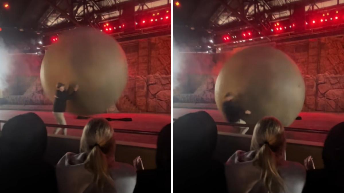 Disney worker ‘recovering’ after stopping 180kg boulder from ploughing ...